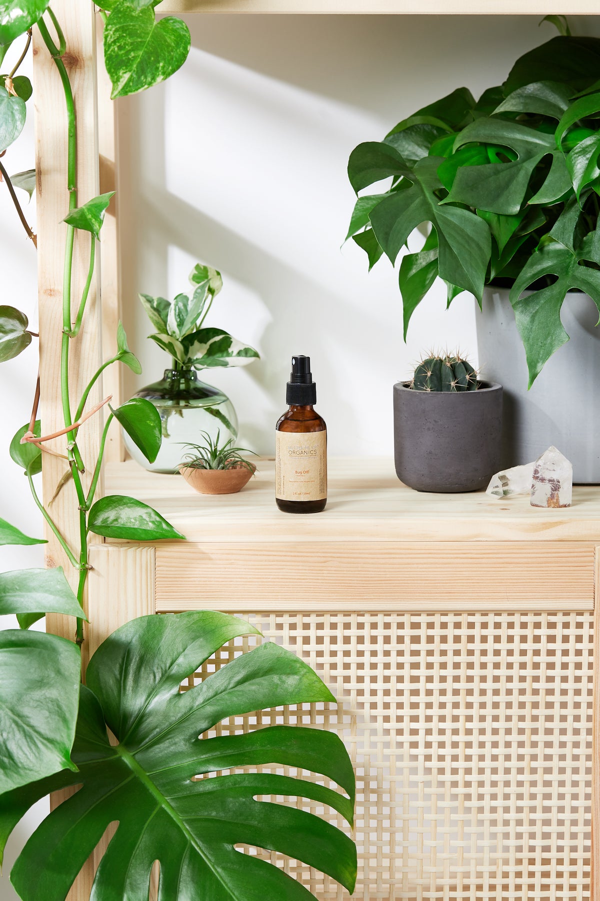 Organic Bug Spray / Mosquito Repellant / — Butter Me Up Organics